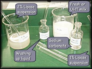 measure lipase enzyme activity - Roger Frost: science, sensors and ...