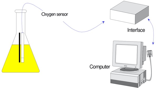 respiration - use of oxygen - Roger Frost: science, sensors and automation