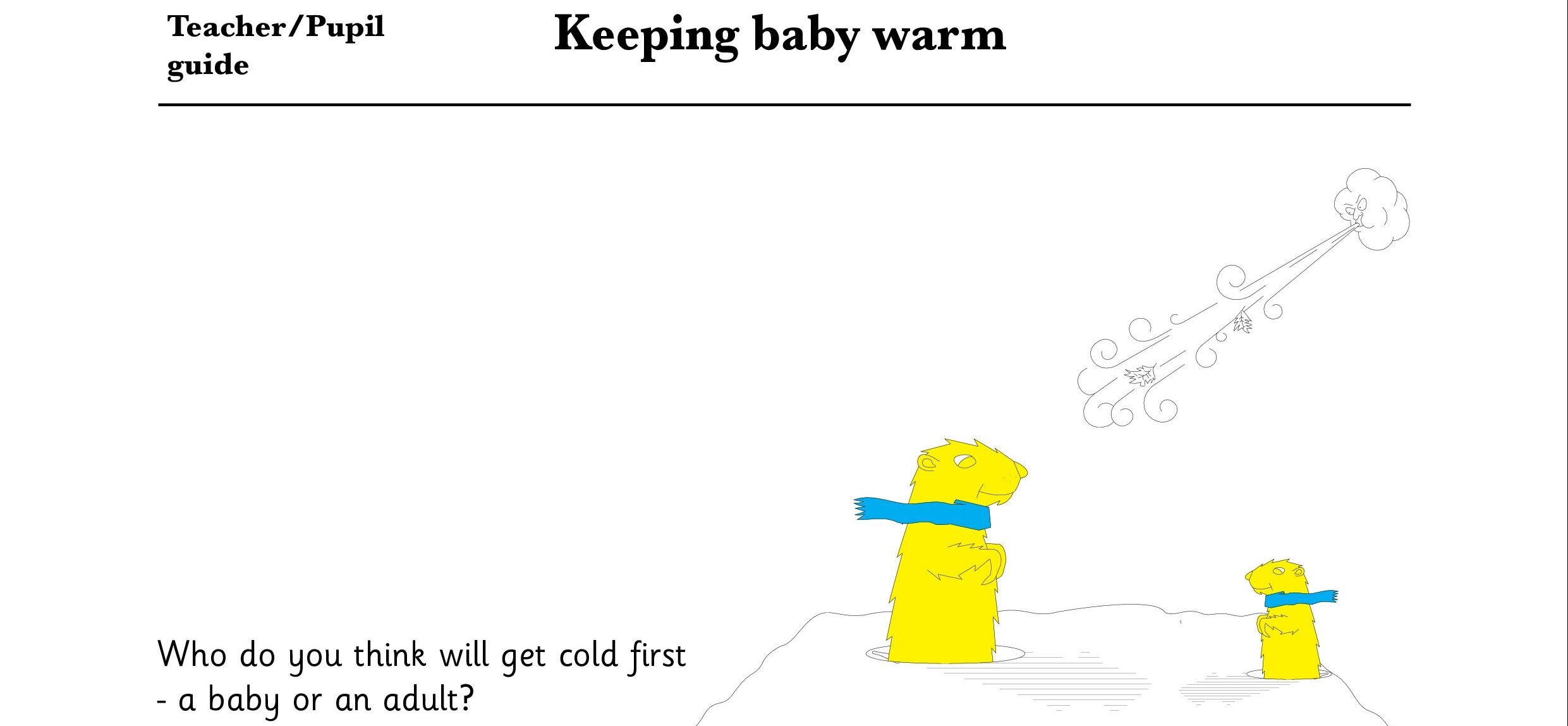 primary: keep baby warm - Roger Frost: science, sensors and automation