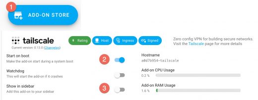 Tailscale remote access via Docker and more - Roger Frost